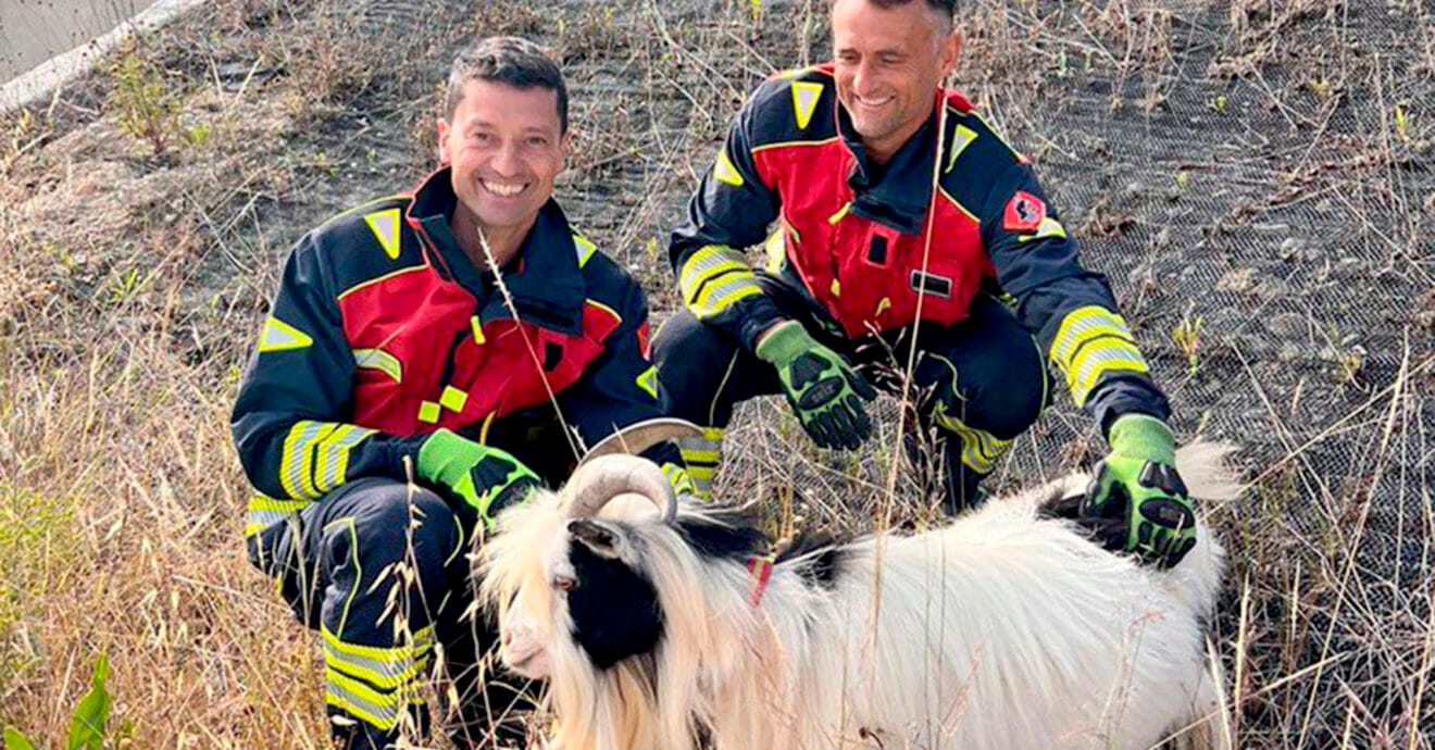 Firefighters from the Provincial Council of Alicante in the rescue of a ...