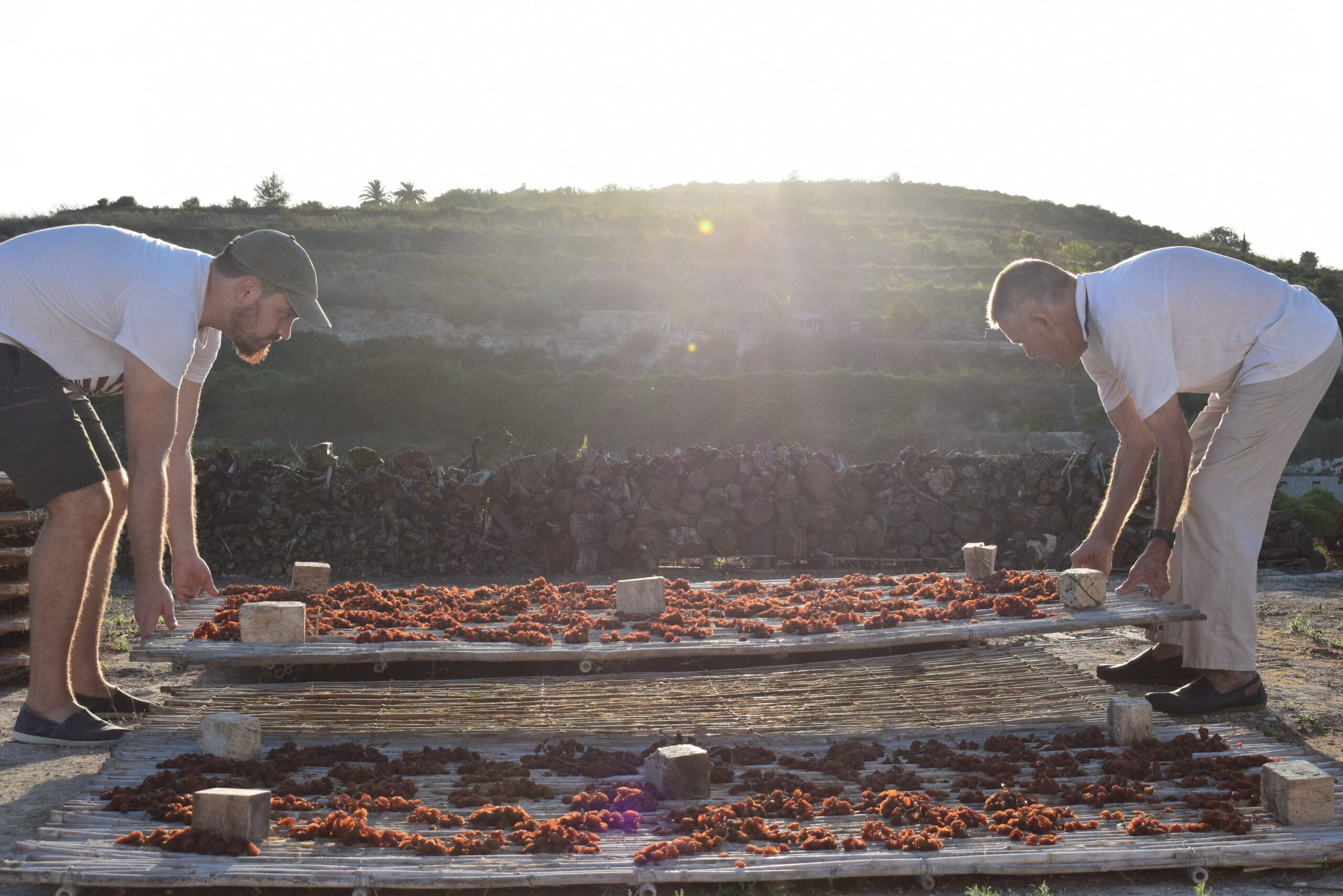 «Tradition and esteem for pansa»